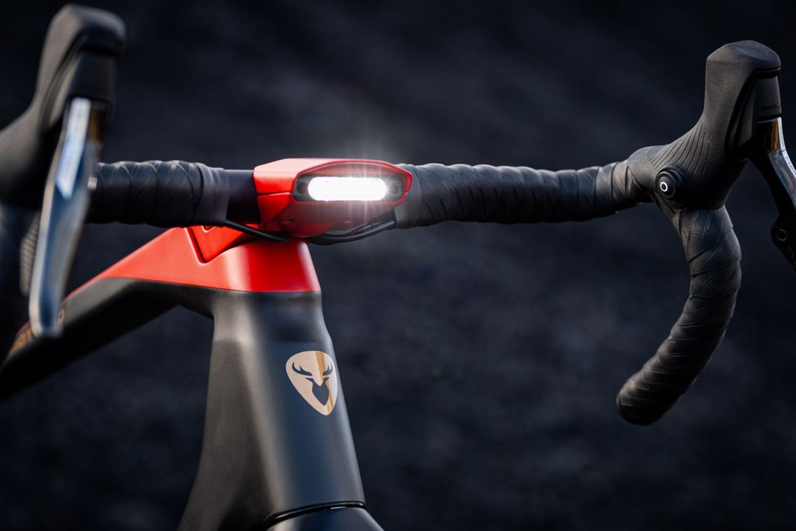 Rotwild R.R275 X ¿genialidad o contra natura?