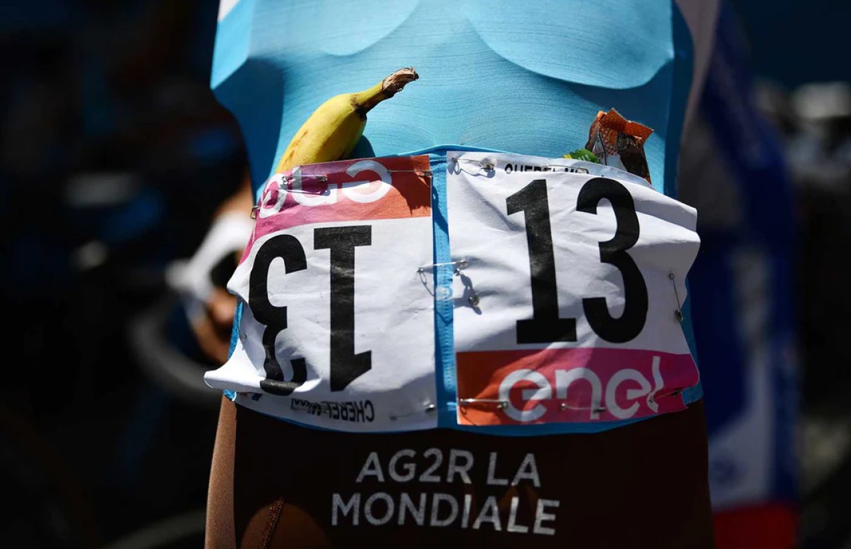 Qu'est-ce que la vraie nourriture?