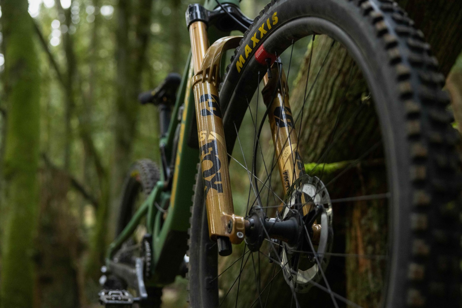 Gold Edition forks and new cartridges, this is how FOX celebrates its ...