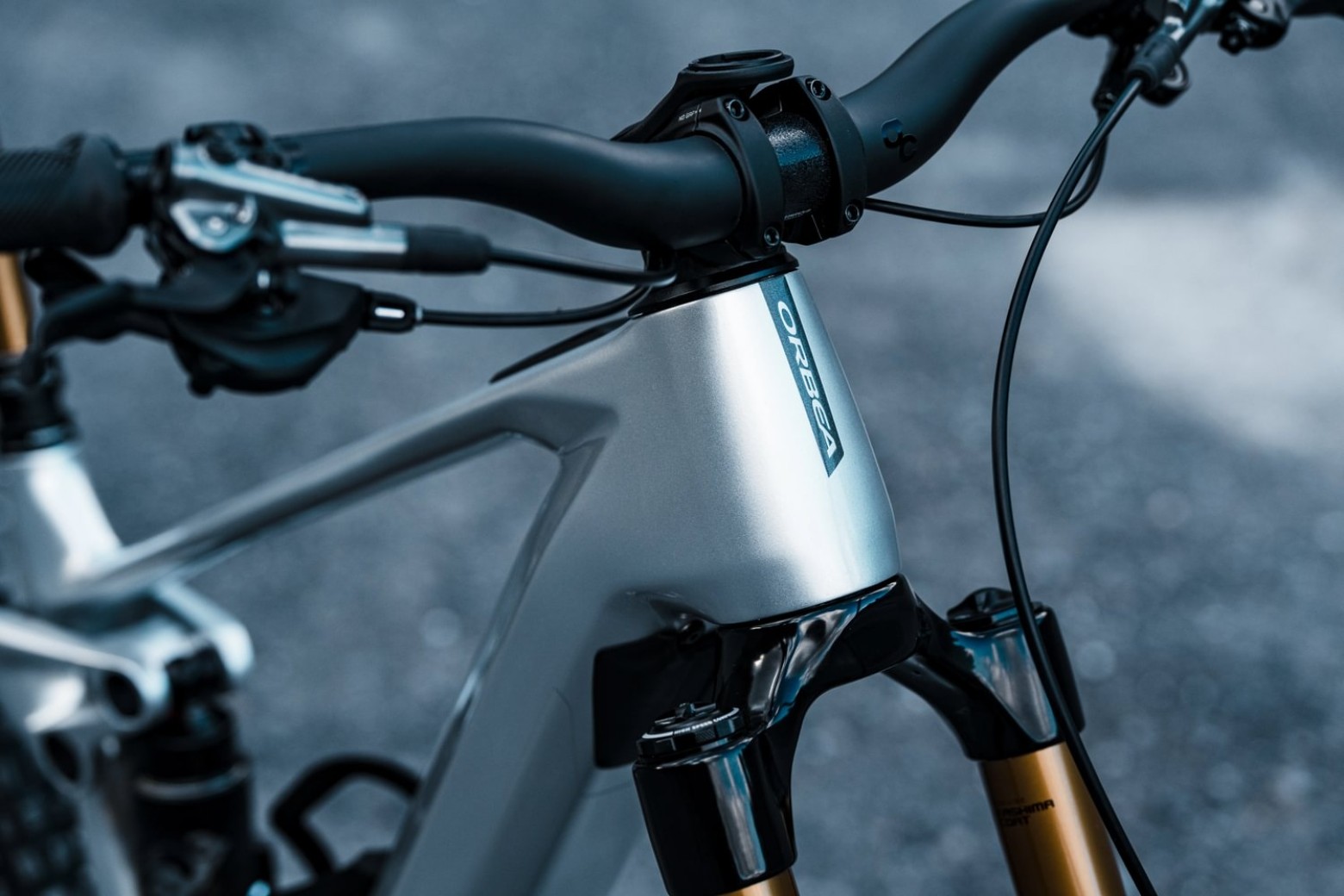 The Orbea Wild Gold Edition that is dominating the UCI E-EDR World Cup ...