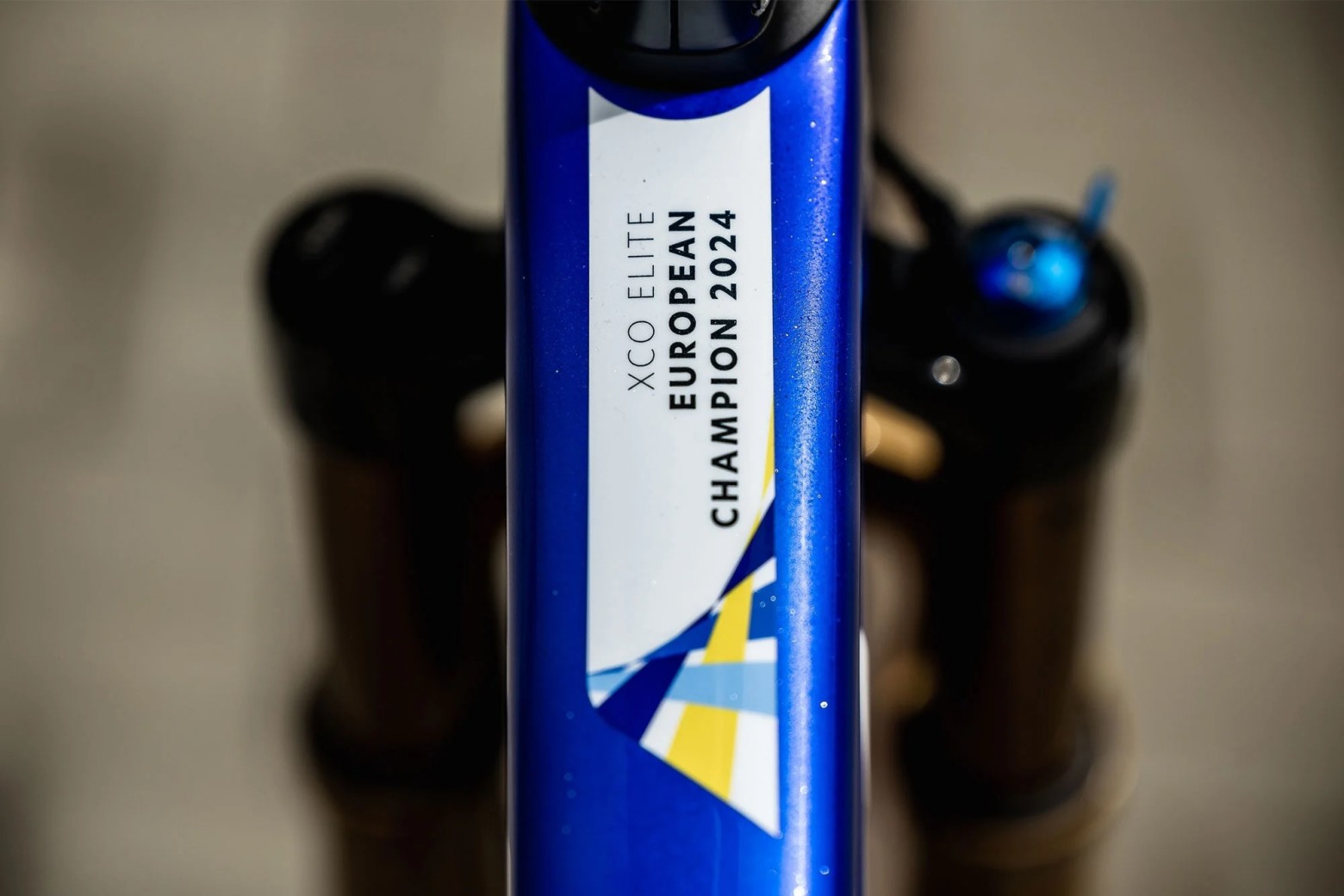 Justo a tiempo, así es está Wilier Urta MAX SRL edición especial para ...