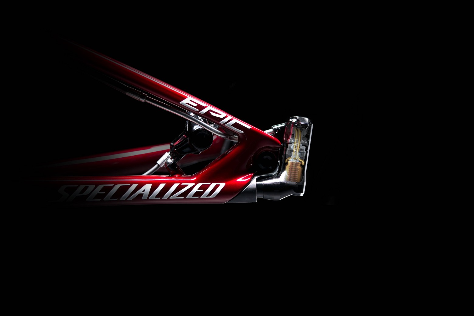 Specialized BRAIN: ¿qué es y cómo ha evolucionado a lo largo de los años?