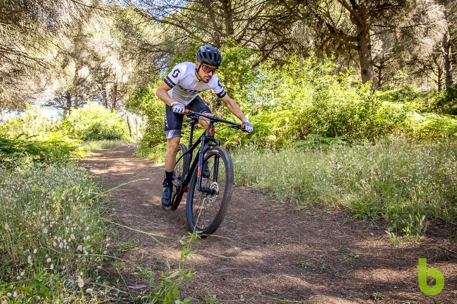 Scott Scale 930: precio, especificaciones y prueba