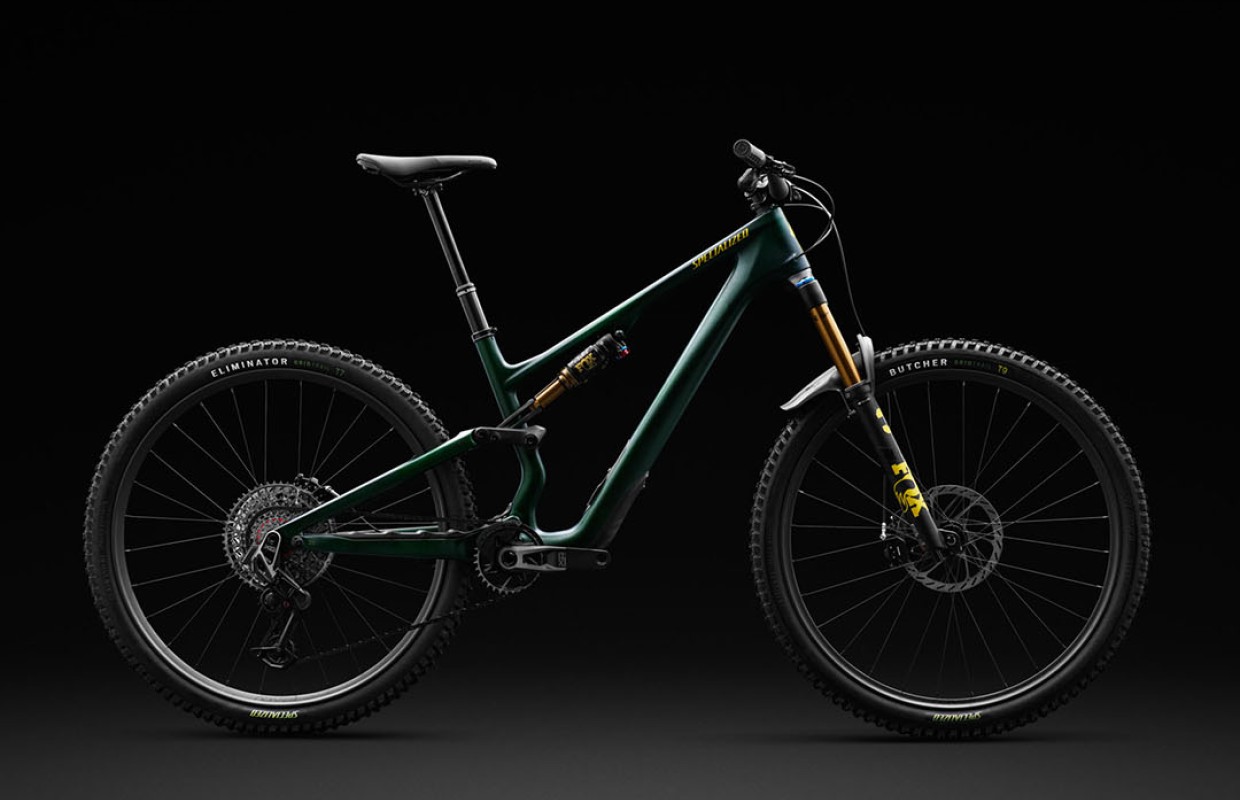 Specialized Stumpjumper 15: models and prices