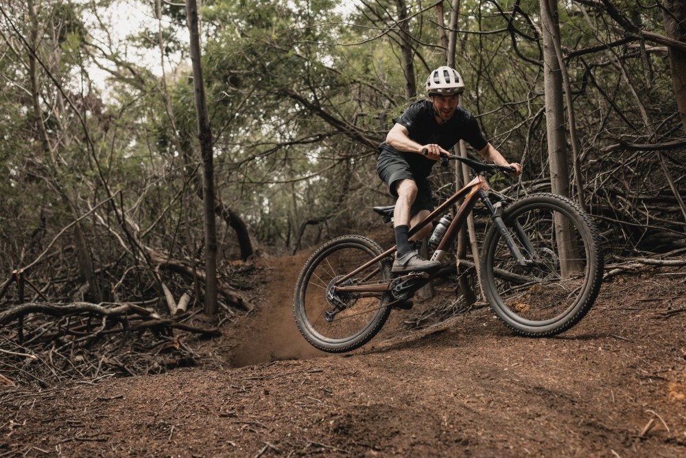 Trek Top Fuel Gen 4: setups and prices