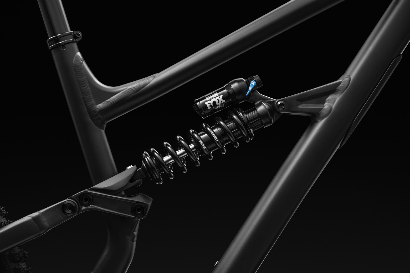 New Specialized Status 2: models and prices