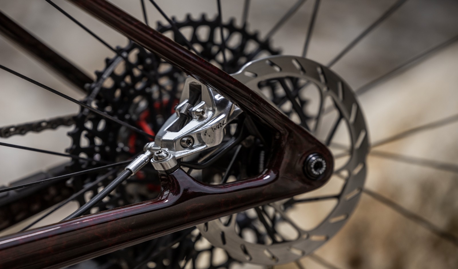 Nueva Trek Procaliber Carbon 2025 con IsoBow: precios y modelos