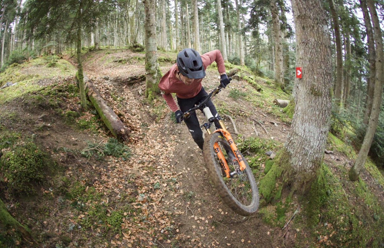 FOX 36 and 36 SL 2025: lightness and stiffness in a new dimension