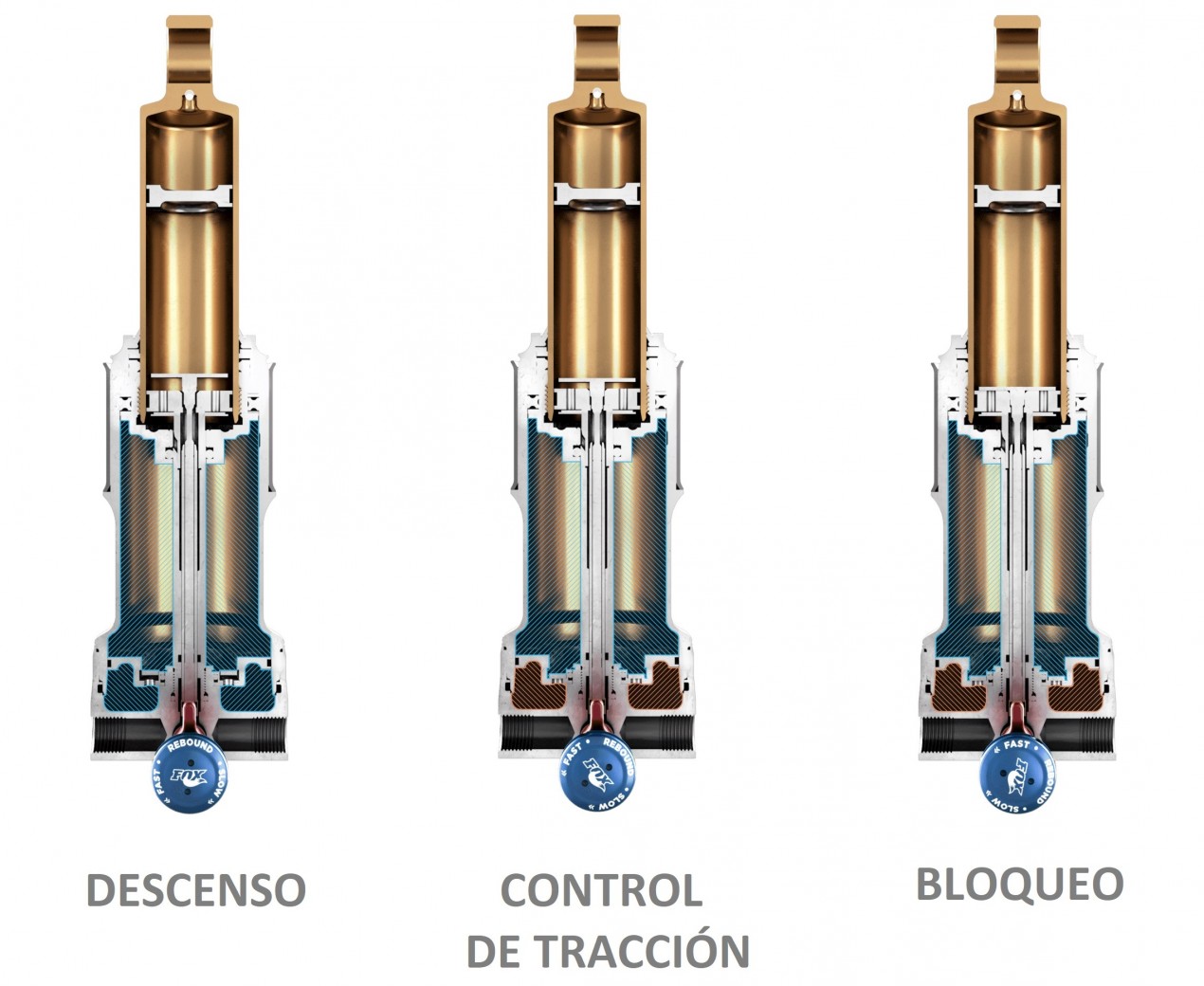 Scott Twinloc, the secret that allows you to have 3 bikes in 1