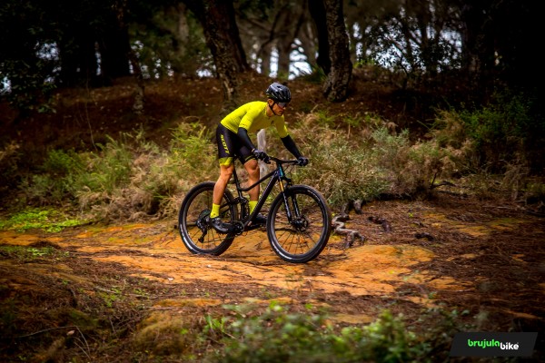 Probamos la Scott Spark RC 900 SL AXS, la más ligera y rápida de la gama RC