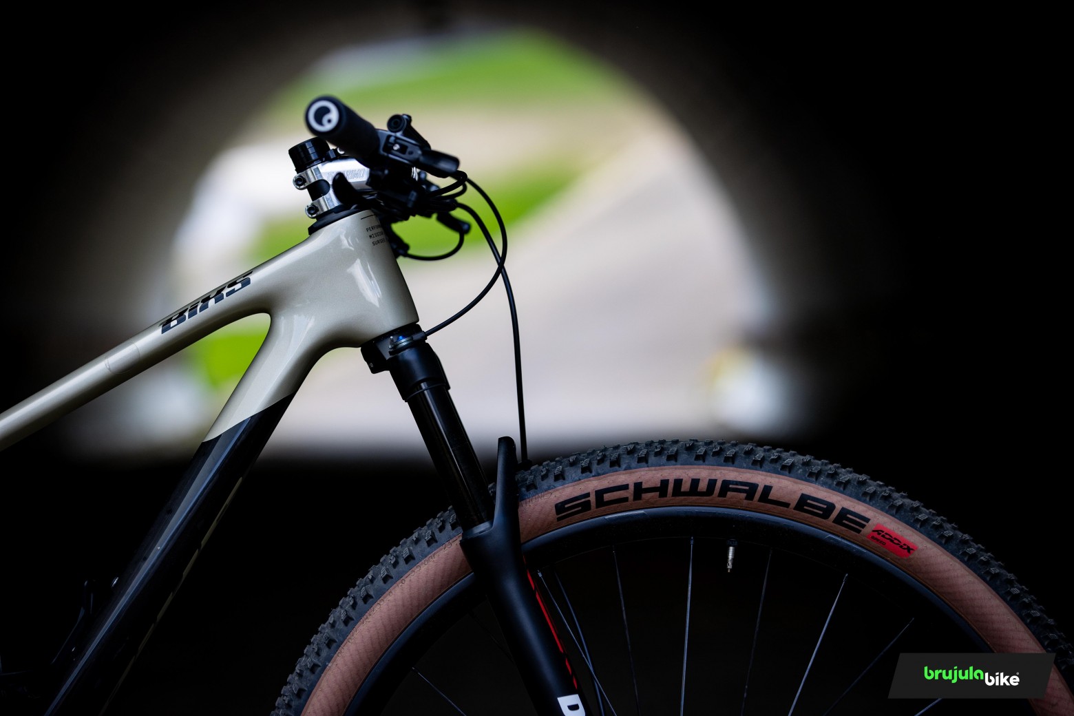 Al detalles la exótica BiXS Pace del equipo de Lukas Fluckiger