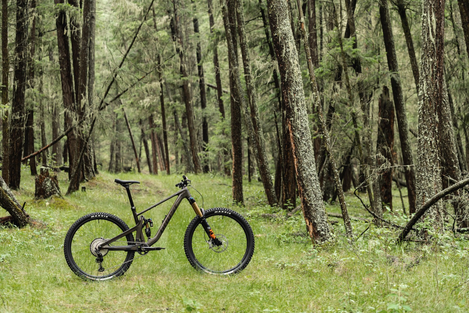 Nuevas Ghost Path Riot y Riot CF: ligereza y diversión, con y sin ...