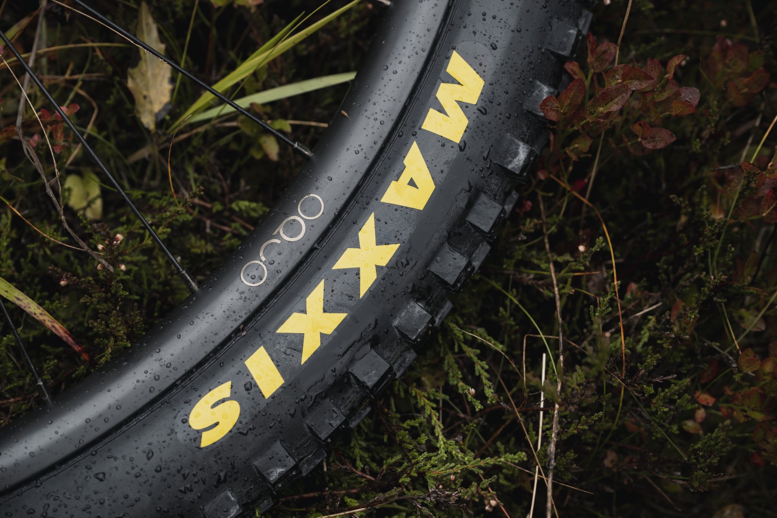 Nace OQUO, ruedas de alta gama diseñadas y fabricadas en el País Vasco