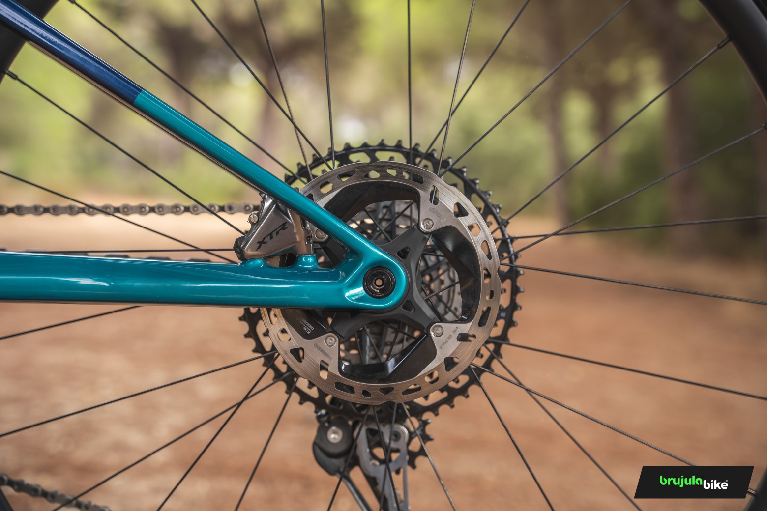 ORBEA OIZ 2023: una nueva generación