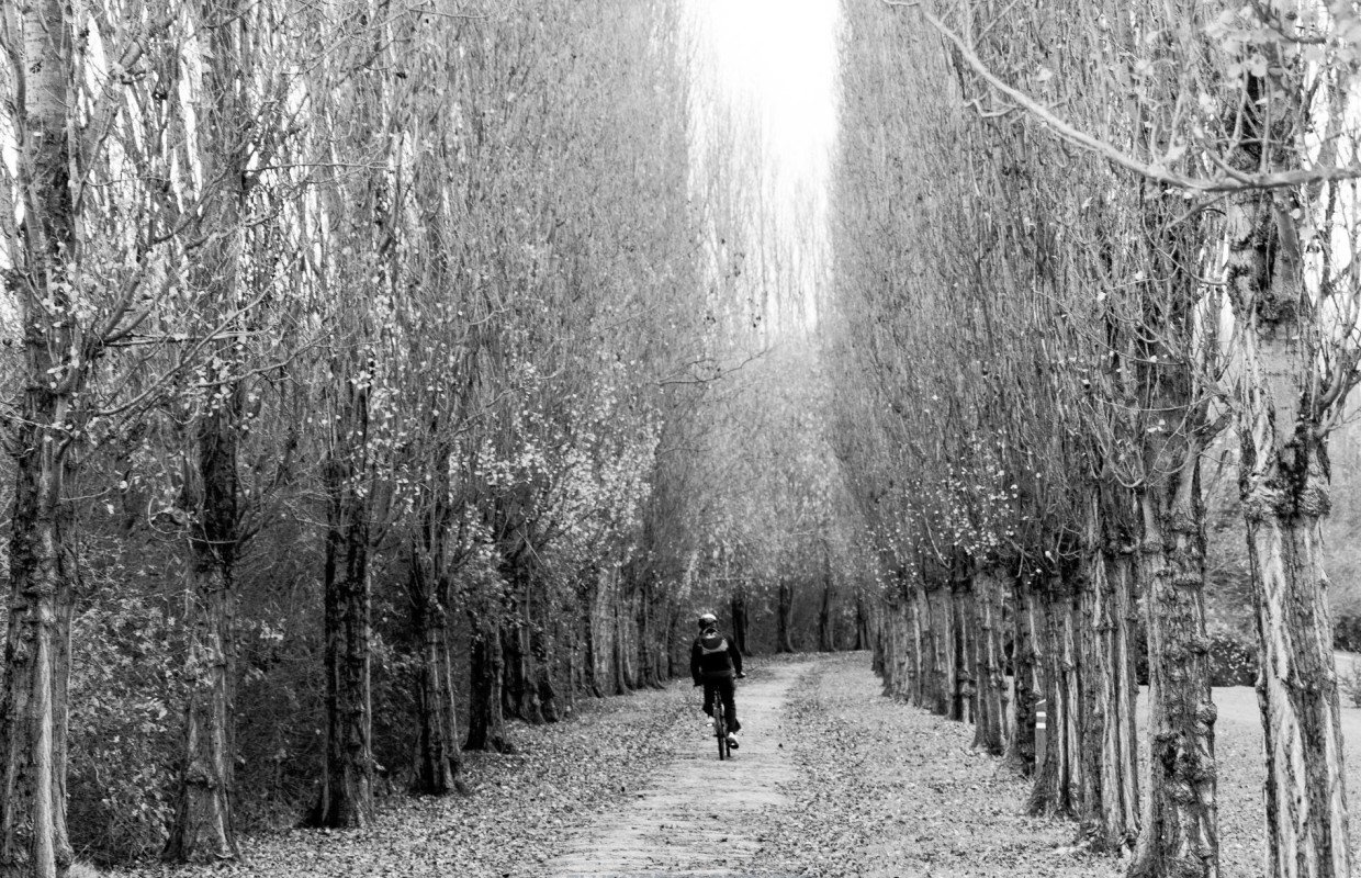 Warming embro creams for cycling, a good ally in cold weather