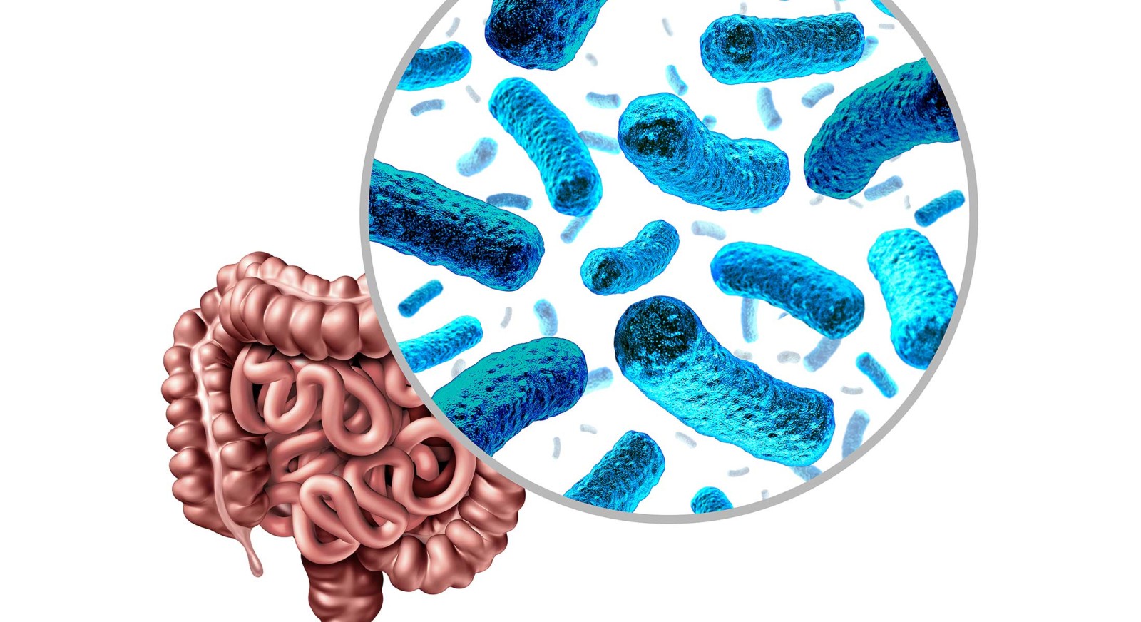 Microbiota and performance, bacteria can help you become a better cyclist