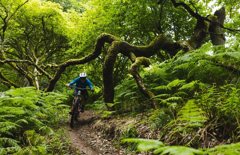 Scotland invests 21 M euros in the first MTB Innovation Center