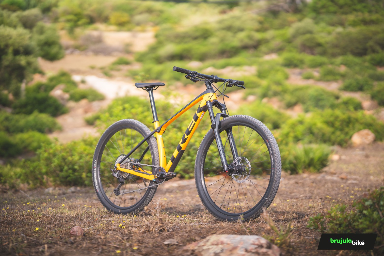 We test the Trek Procaliber 9.6: a hardtail that does not renounce to ...
