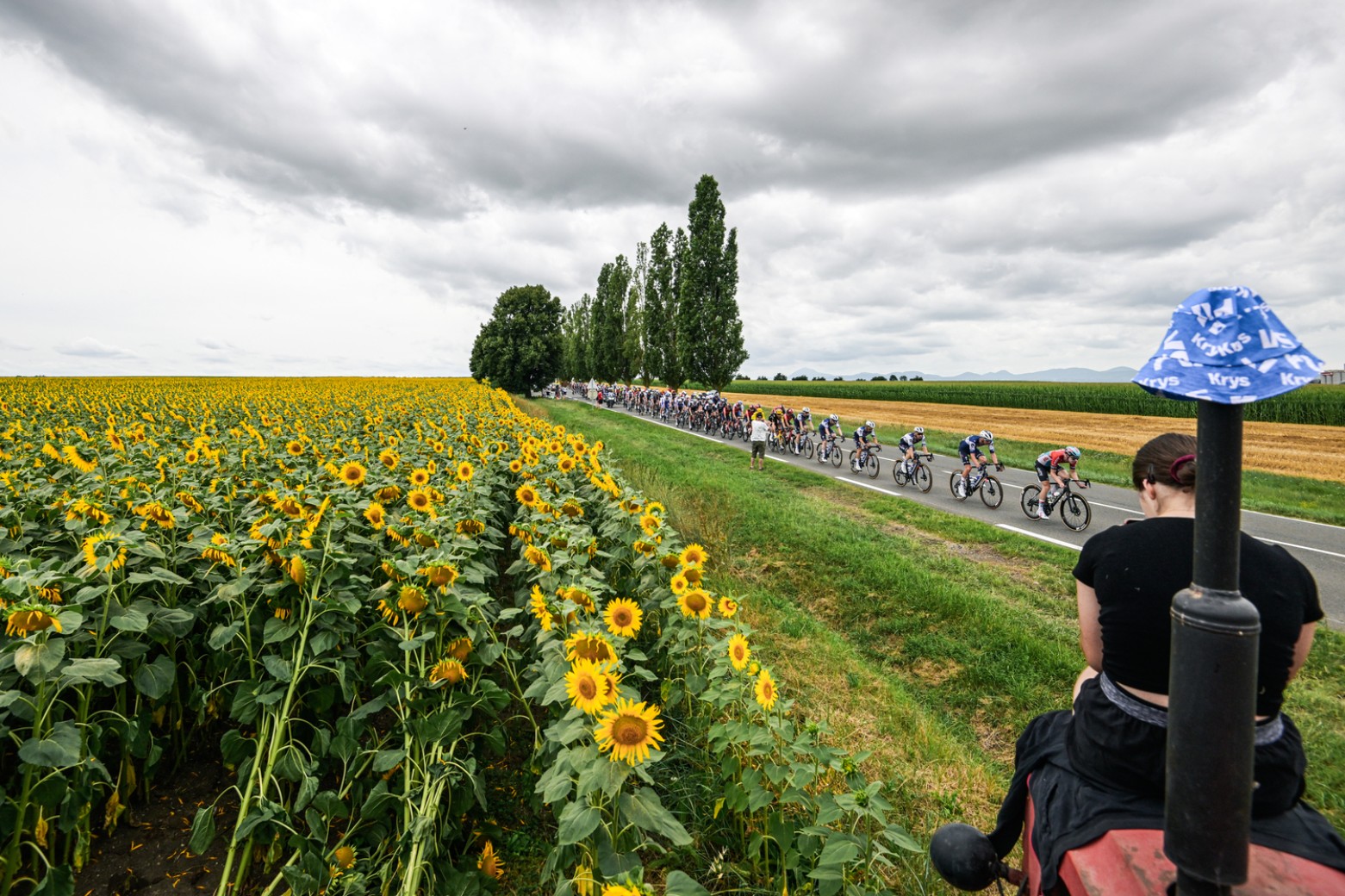 Jasper Philipsen has already won 4 stages in the Tour de France 2023