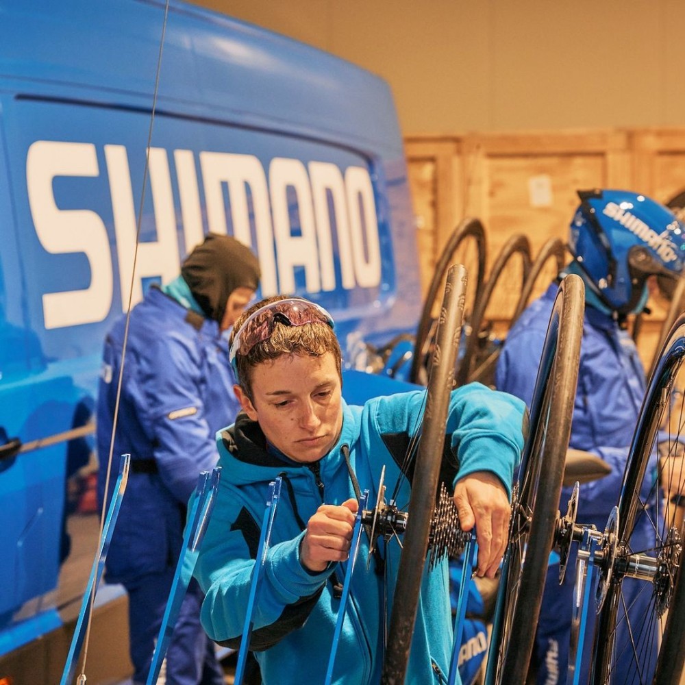 What brand are the blue Shimano bikes?