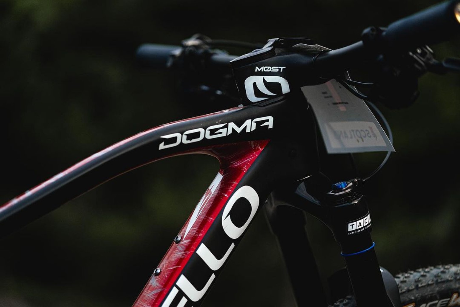 Hardtails continue to win World Championships, in detail Ferrand-Prevot's Pinarello Dogma XC HT