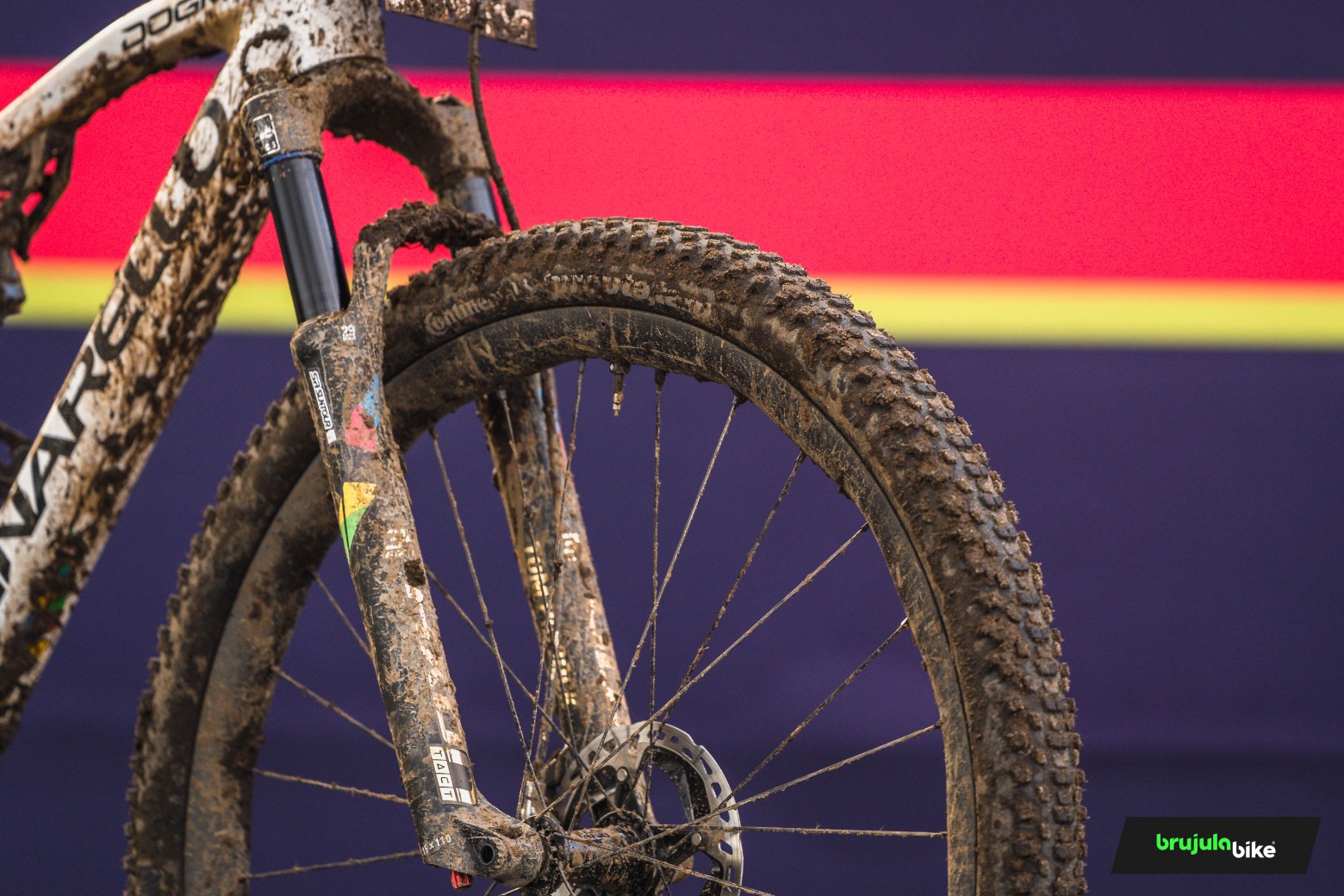 Al detalle la Pinarello Dogma XC con la que Tom Pidcock ganó en Mont ...