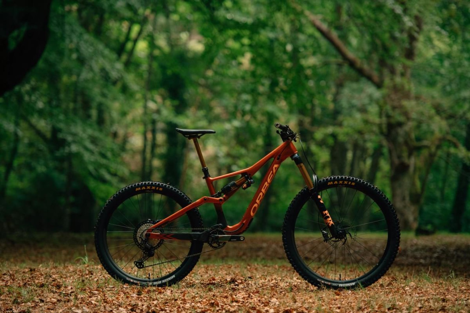 Orbea Rallon 2024: new features, models and prices